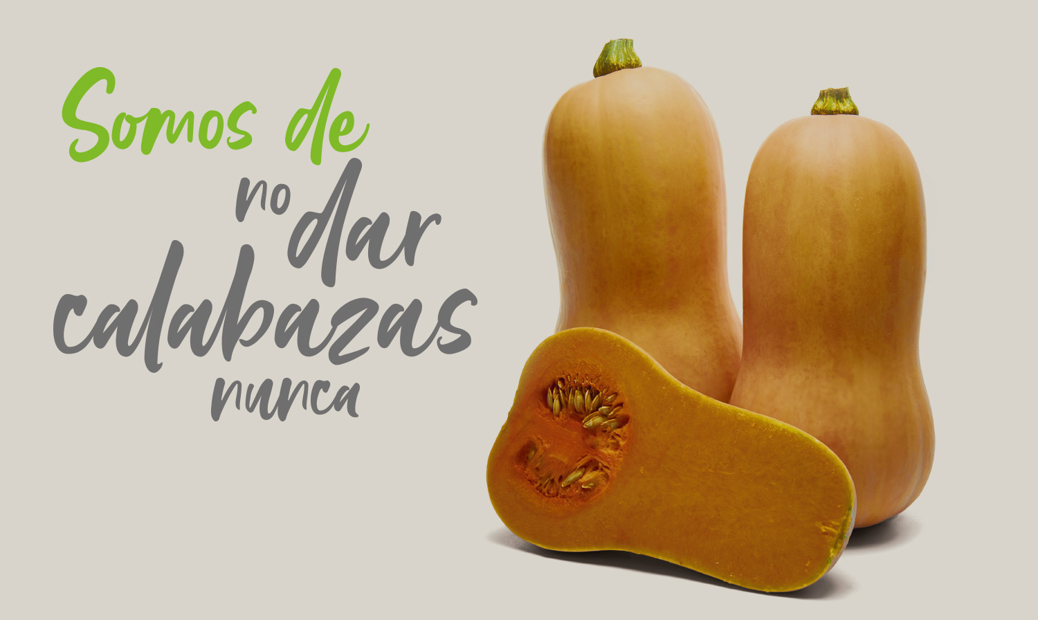 Somos Vida – Anove