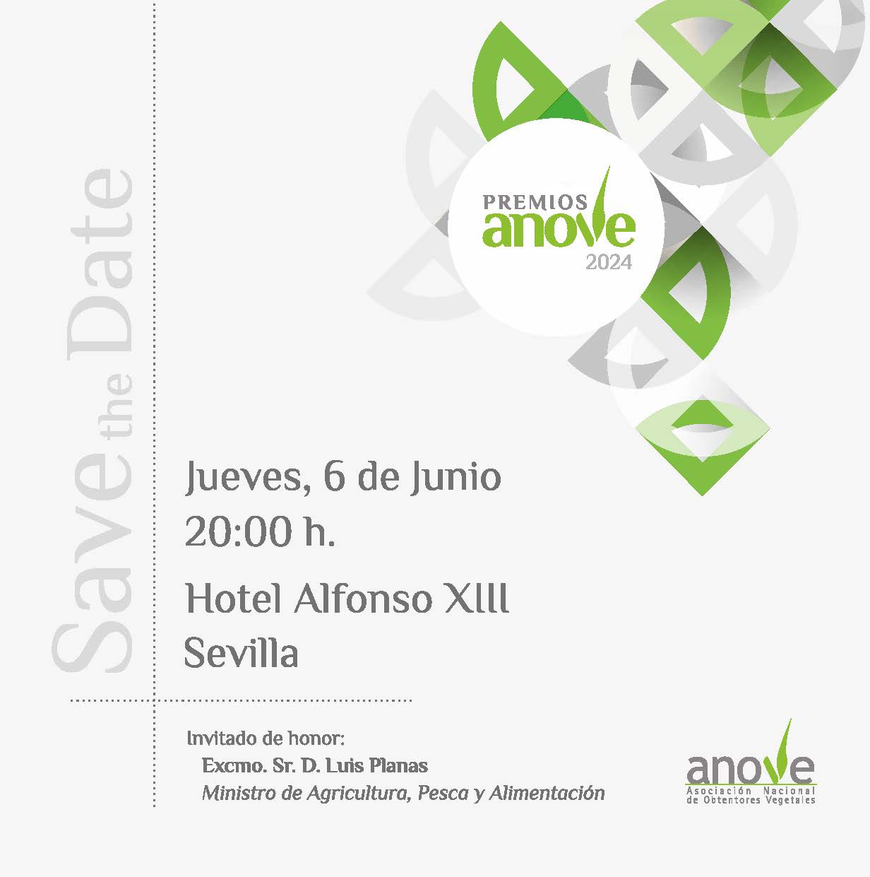 Grid Layout Templates – Anove